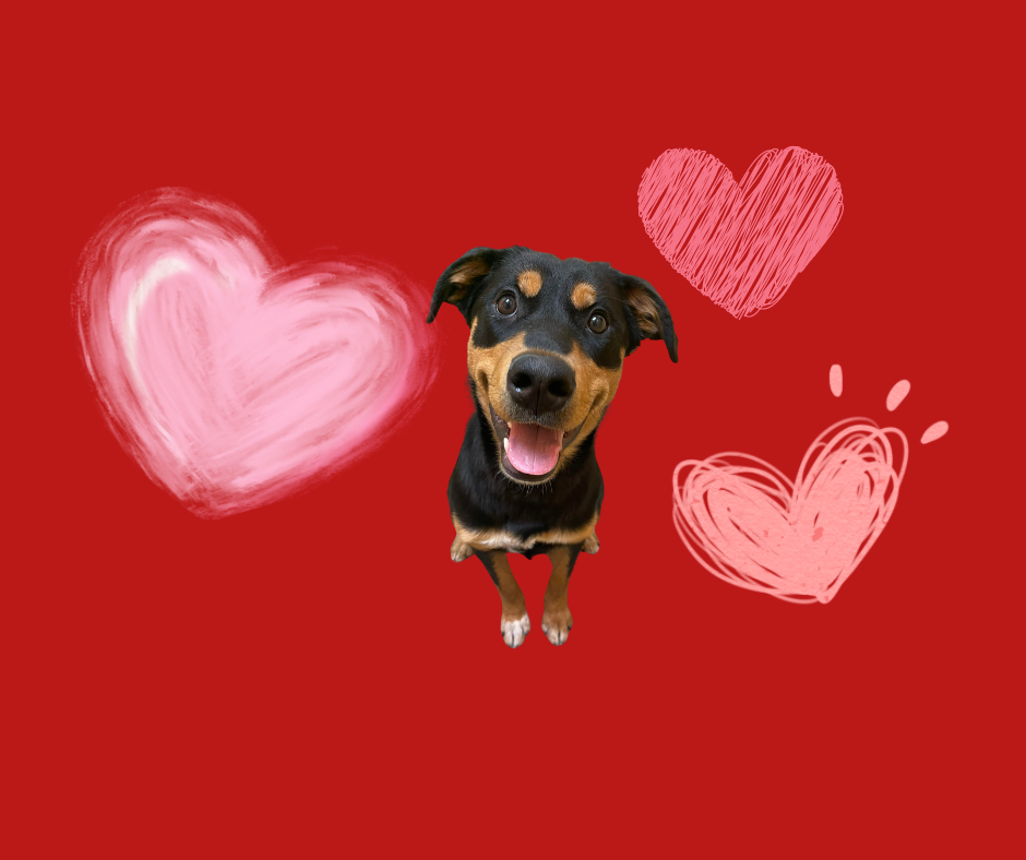 Comedy to the rescue in Clarksville! | Rewind 94.3