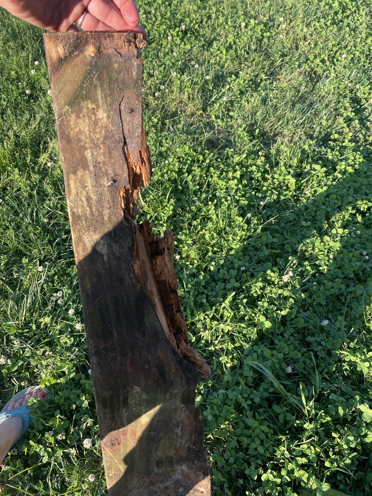 Add deck joist repair to my resume! | Rewind 94.3